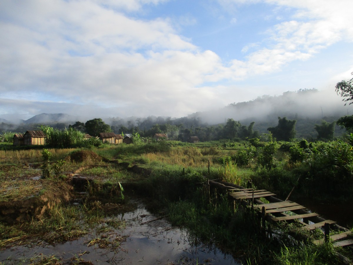 Madagascar: Andapa to Maroantsetra – Last frontiers on foot